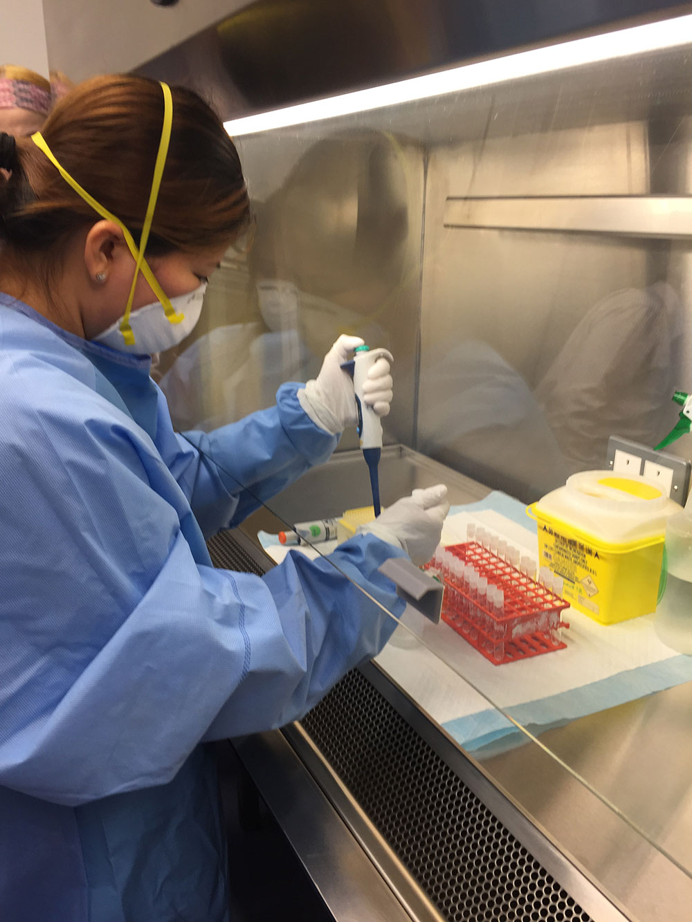 IFBA – International Federation of Biosafety Associations » Biosafety ...